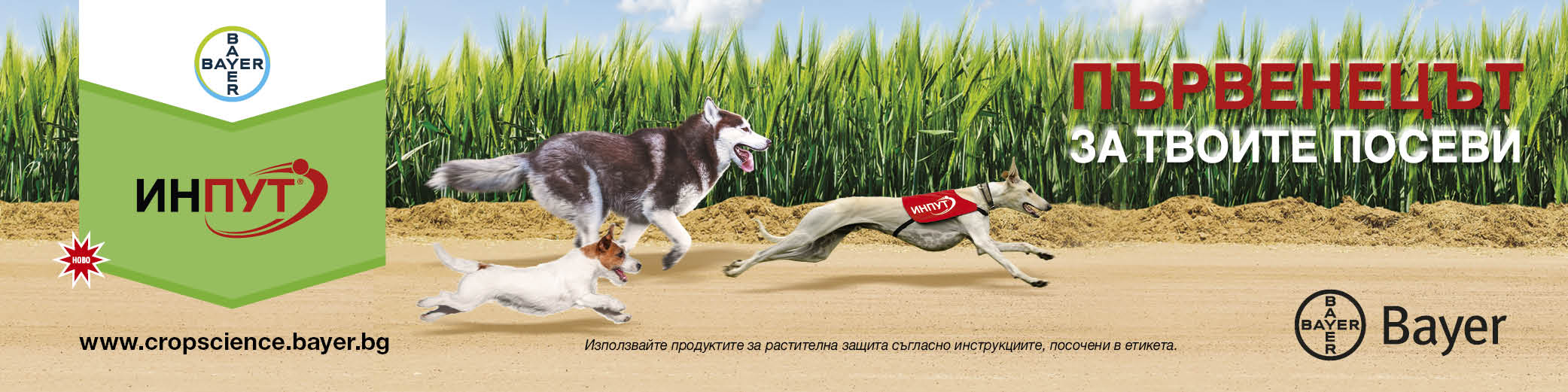 Растителна защита и семена - Bayer Crop Science България